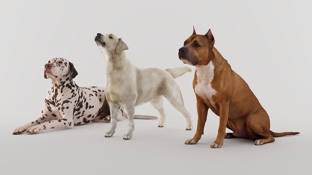 Fauna 3D models - Download 3D models | 3d-baza.com