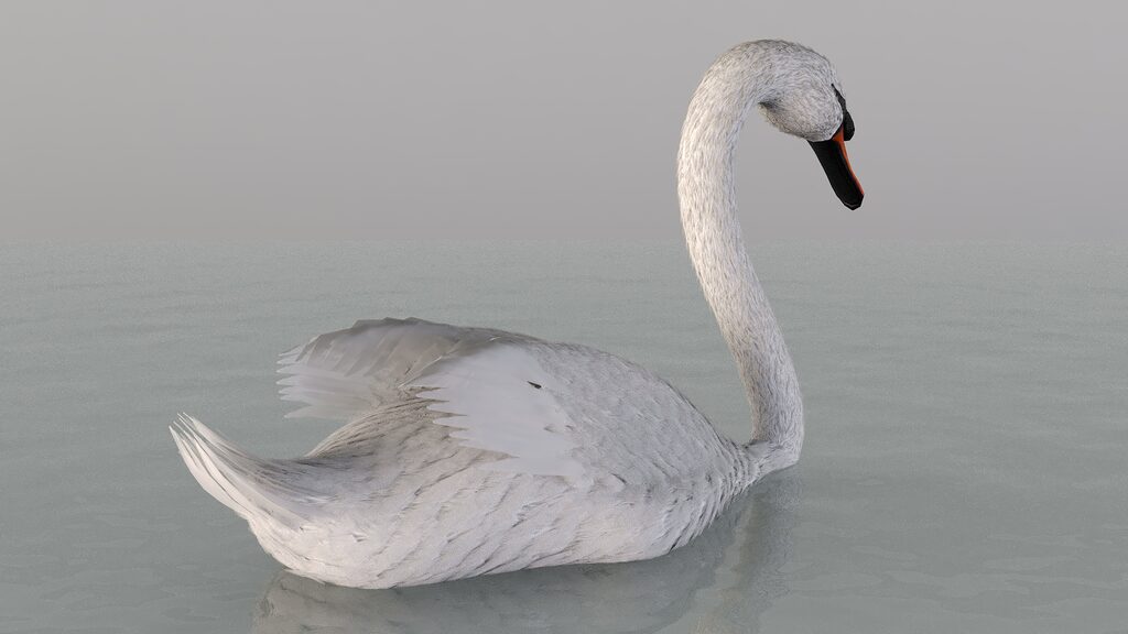 Fauna 3D models - Download 3D models | 3d-baza.com