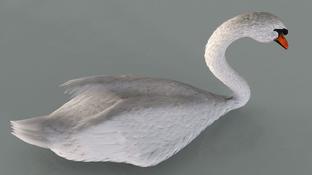 Fauna 3D models - Download 3D models | 3d-baza.com