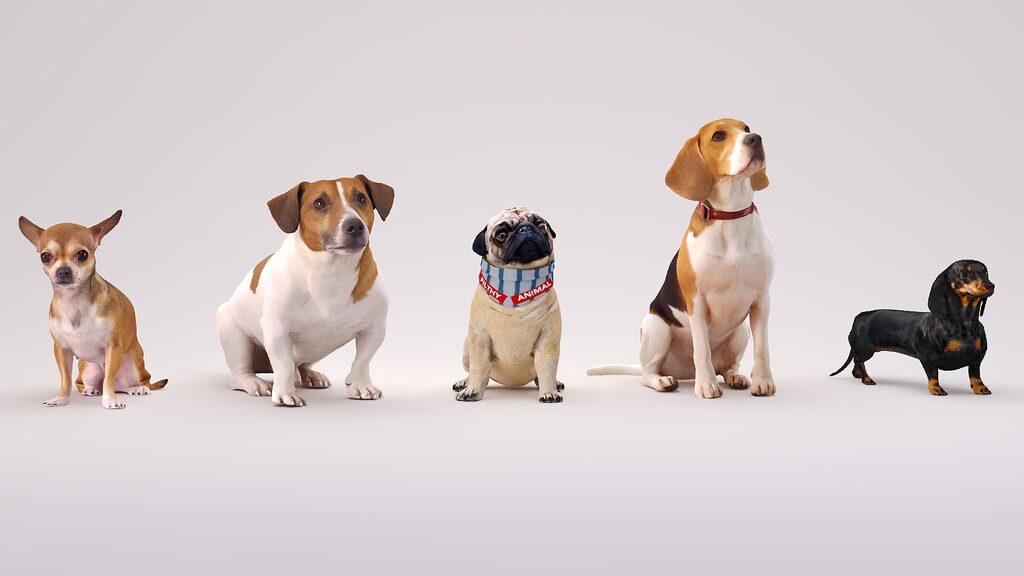 Fauna 3D models - Download 3D models | 3d-baza.com