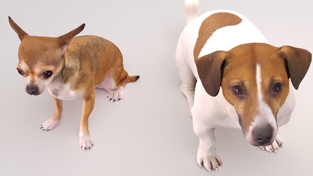 Fauna 3D models - Download 3D models | 3d-baza.com