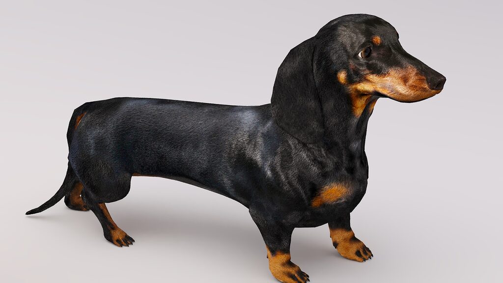 Fauna 3D models - Download 3D models | 3d-baza.com