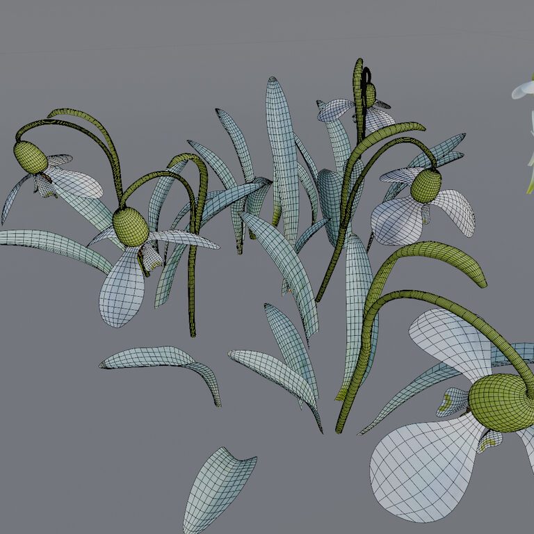 Spring flowers (387838) 3D model - Download 3D model Spring flowers ...