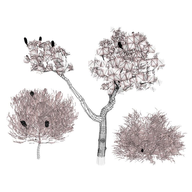 Australia Banksia Tree 3D Model (388737) 3D model - Download 3D model ...
