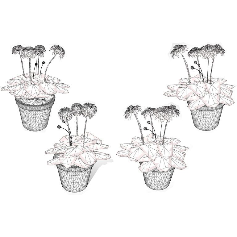 South African Glorious Patio Gerbera (388797) 3D model - Download 3D ...