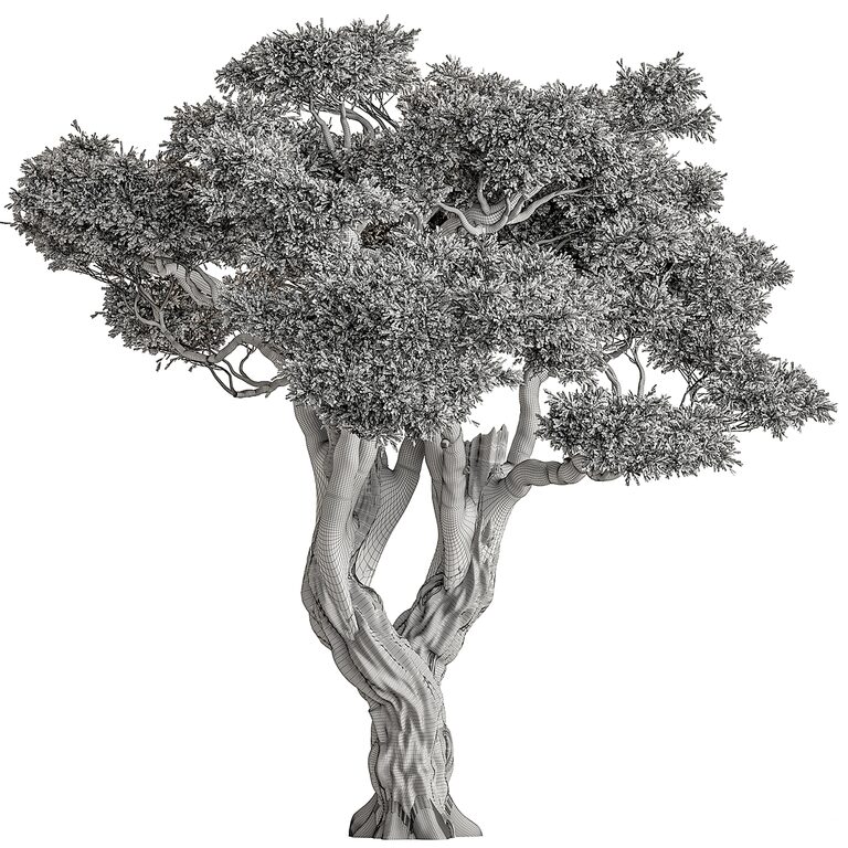 Ola Tree Set (389258) 3D model - Download 3D model Ola Tree Set (389258 ...