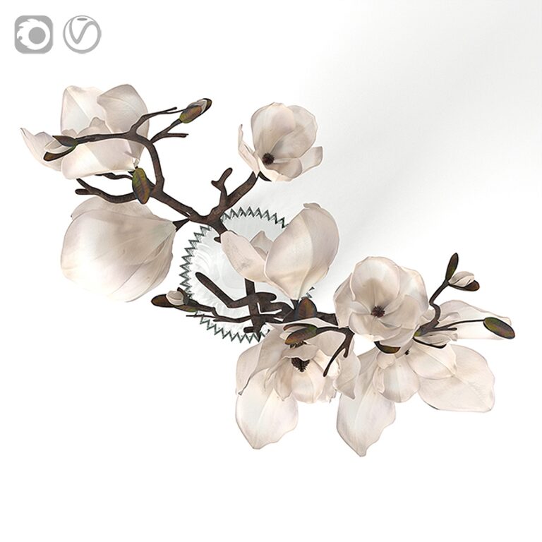 Magnolia (389604) 3D model - Download 3D model Magnolia (389604 ...
