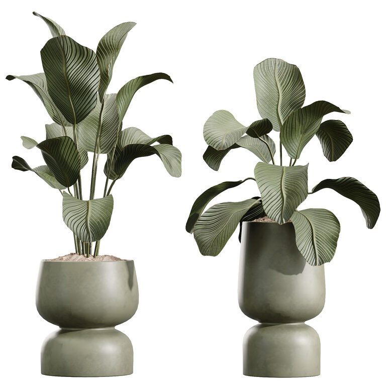 Комнатные растения AV Olive Artificial Dracaena Warneckii Lemon ...