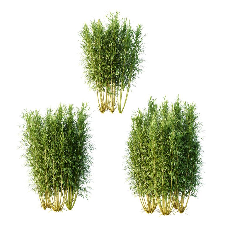 Bamboo Bambusoideae Bush 02 (389651) 3D model - Download 3D model ...