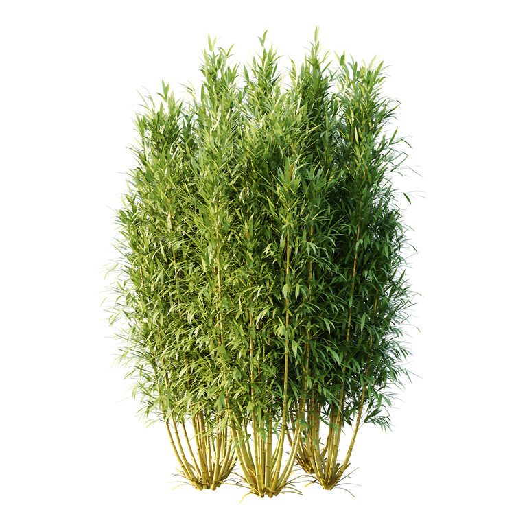 Bamboo Bambusoideae Bush 02 (389651) 3D model - Download 3D model ...