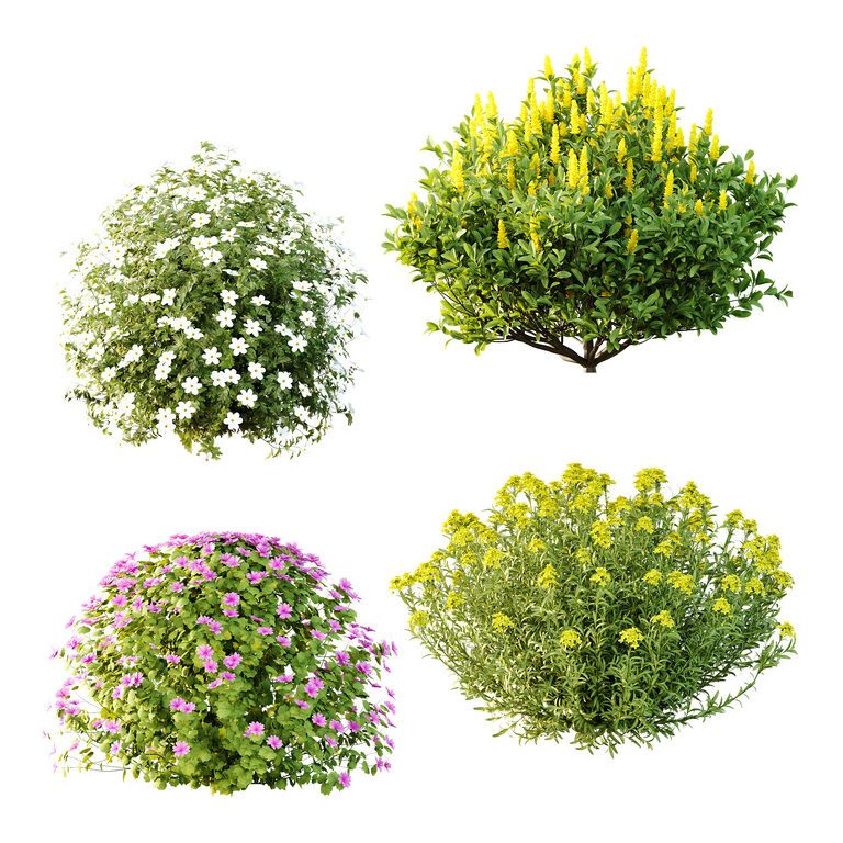 Different bushes 09 (390022) 3D model - Download 3D model Different ...