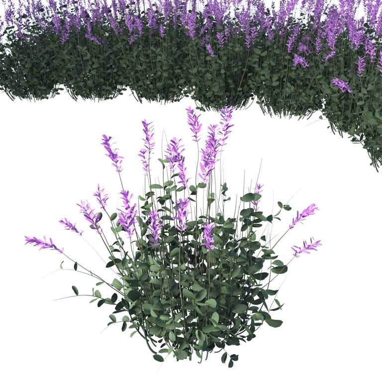 Lavender Flowers (390295) 3D model - Download 3D model Lavender Flowers ...