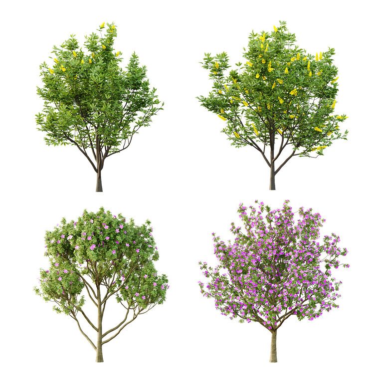 Different Trees 02 (390376) 3D model - Download 3D model Different ...
