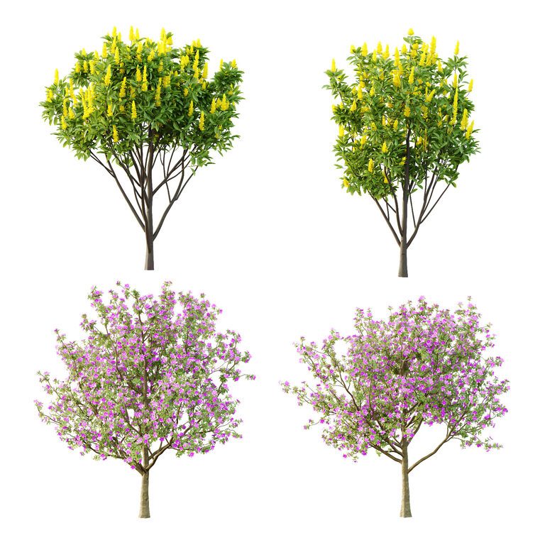 Italian Cypress Tree 4 (390660) 3D model - Download 3D model Italian ...