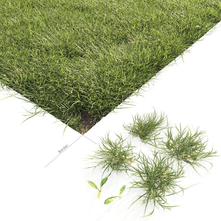 Lawn Grass 01 (391361) 3D model - Download 3D model Lawn Grass 01 ...