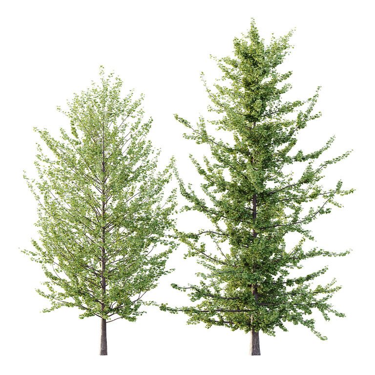 Different Trees 31 (393625) 3D model - Download 3D model Different ...