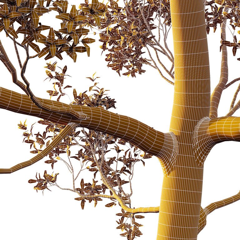 Different Trees 25 (393626) 3D model - Download 3D model Different ...