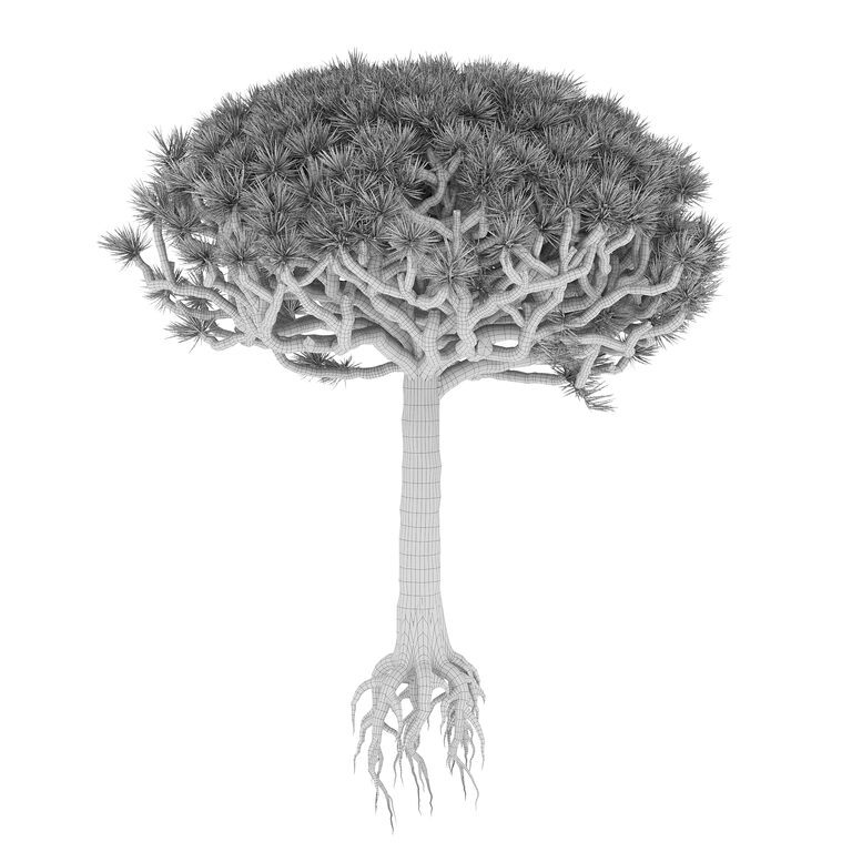 Dragons Blood Tree (393676) 3D model - Download 3D model Dragons Blood ...