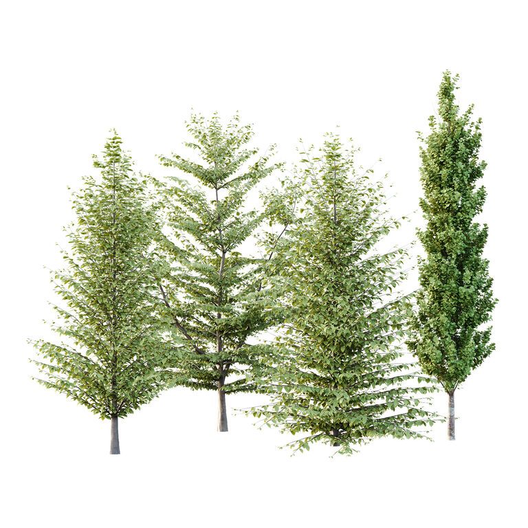 Different Trees 58 (393805) 3D model - Download 3D model Different ...