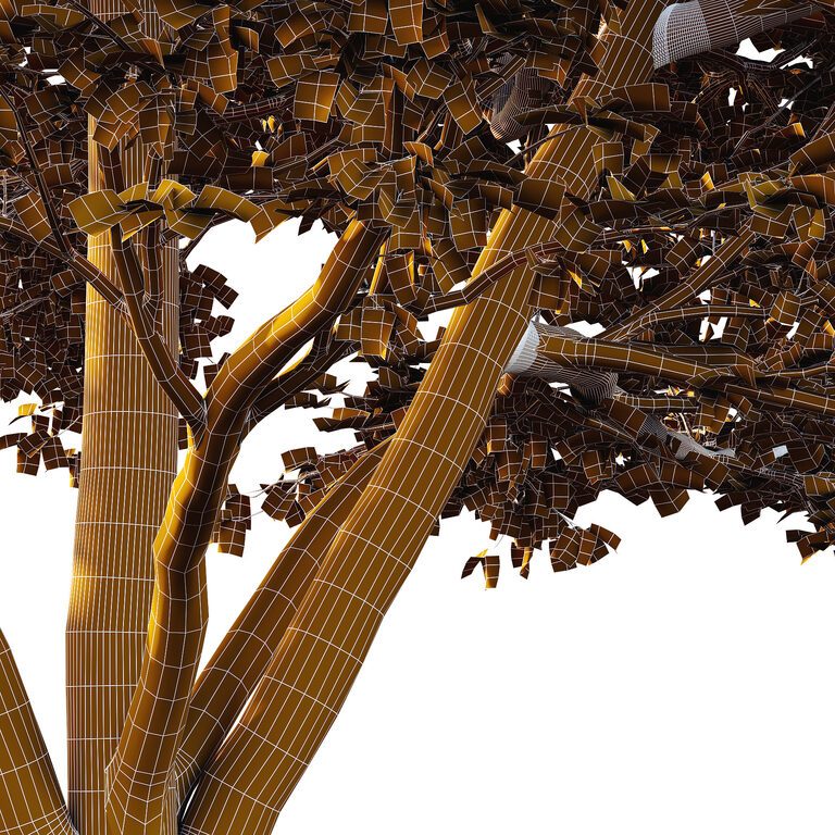 Sycamore Platanus Tree 01 (394265) 3D model - Download 3D model ...