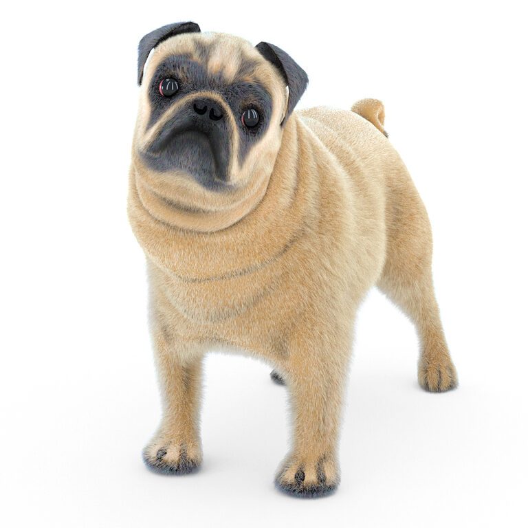 Fauna 3D models - Download 3D models | 3d-baza.com