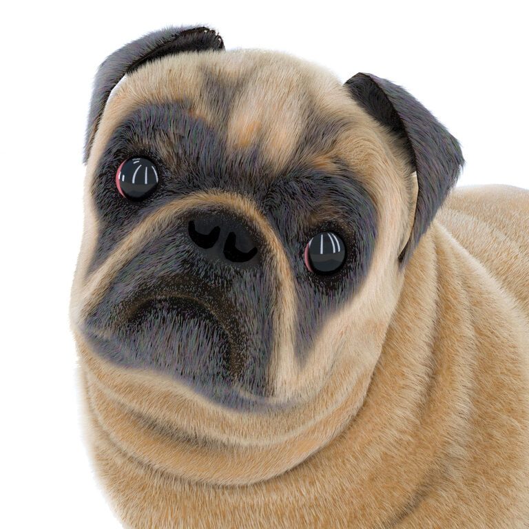 Fauna 3D models - Download 3D models | 3d-baza.com