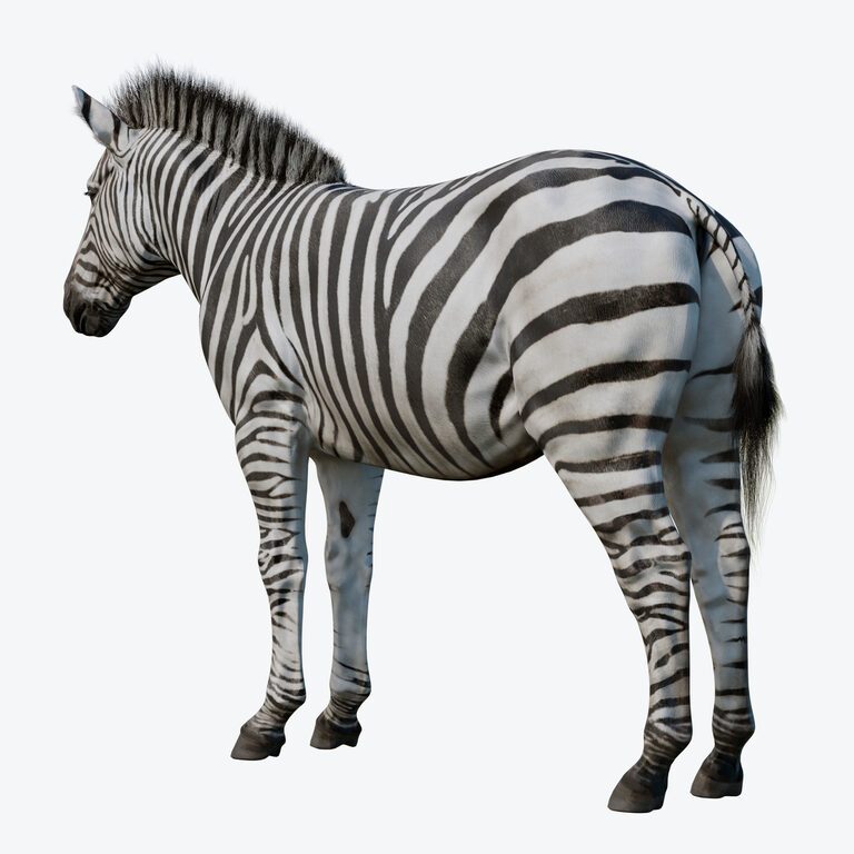Fauna 3D models - Download 3D models | 3d-baza.com