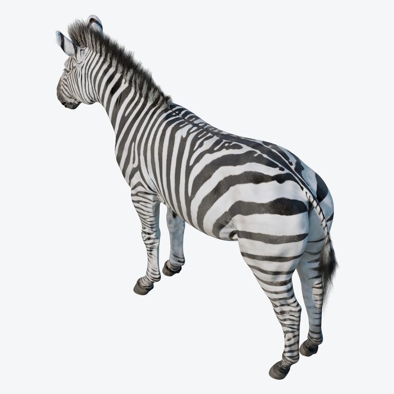 Fauna 3D models - Download 3D models | 3d-baza.com