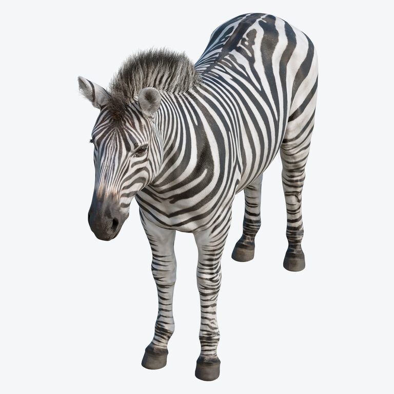 Fauna 3D models - Download 3D models | 3d-baza.com