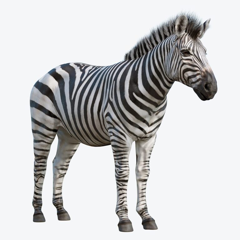 Fauna 3D models - Download 3D models | 3d-baza.com