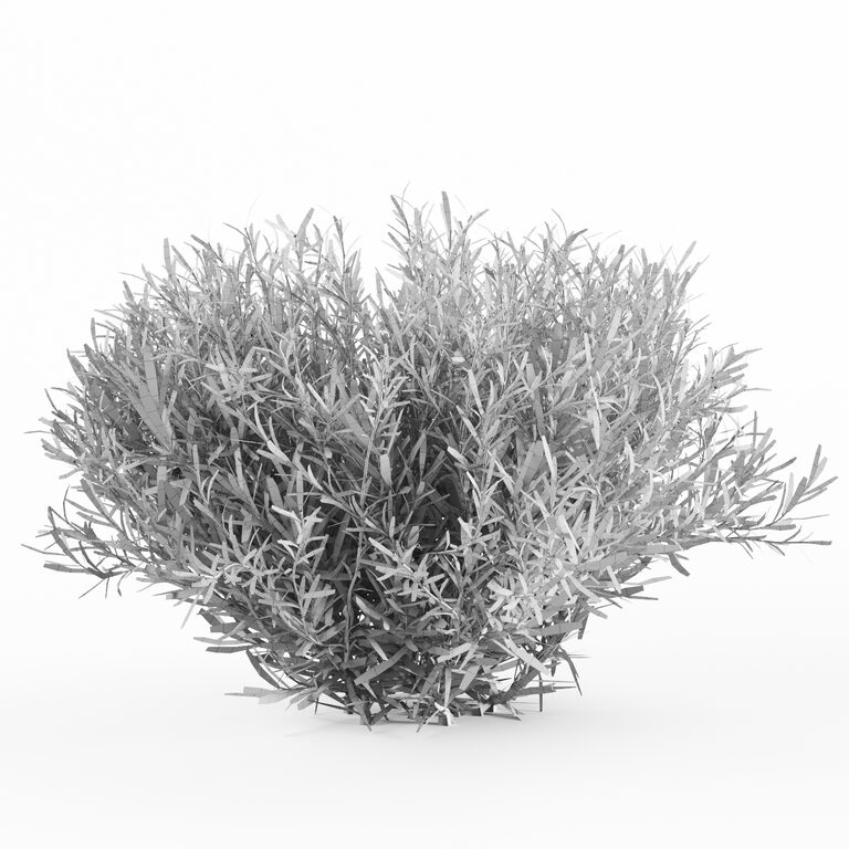 Lavender bushes (6 unique forms) (394390) 3D model - Download 3D model ...