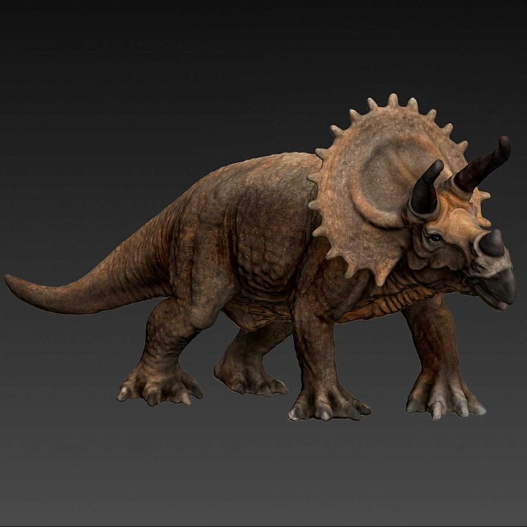 Fauna 3D models - Download 3D models | 3d-baza.com