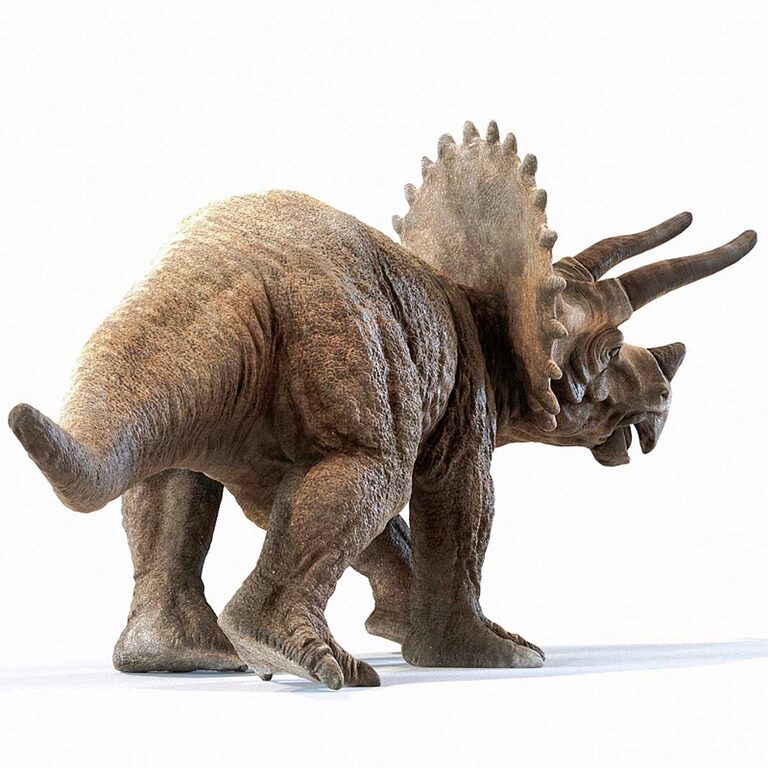 Fauna 3D models - Download 3D models | 3d-baza.com
