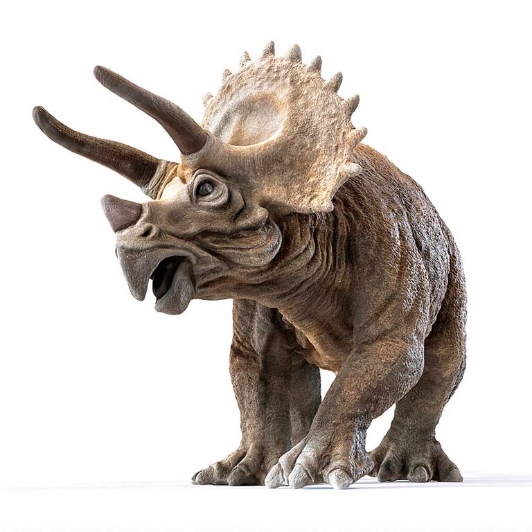 Fauna 3D models - Download 3D models | 3d-baza.com