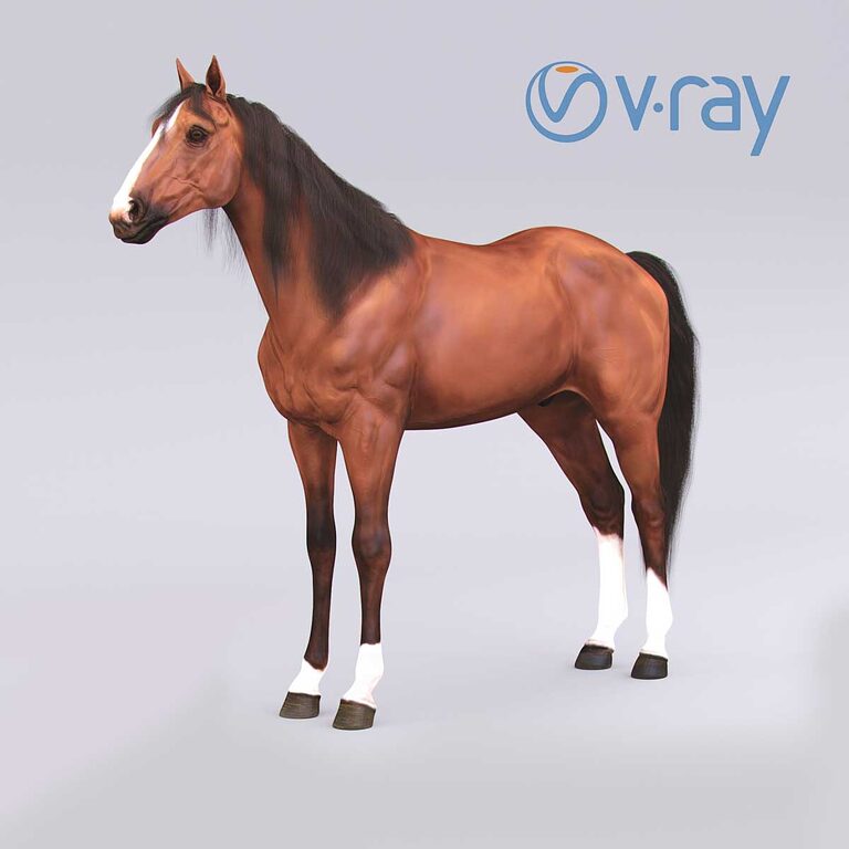 Fauna 3D models - Download 3D models | 3d-baza.com