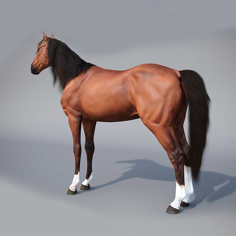Fauna 3D models - Download 3D models | 3d-baza.com