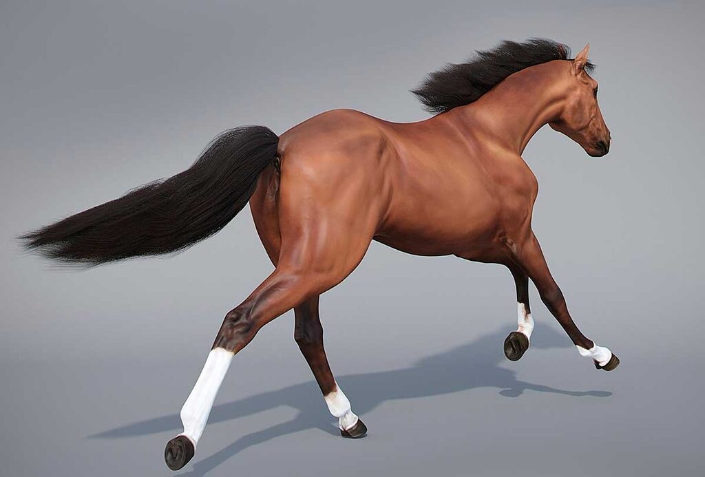 Fauna 3D models - Download 3D models | 3d-baza.com