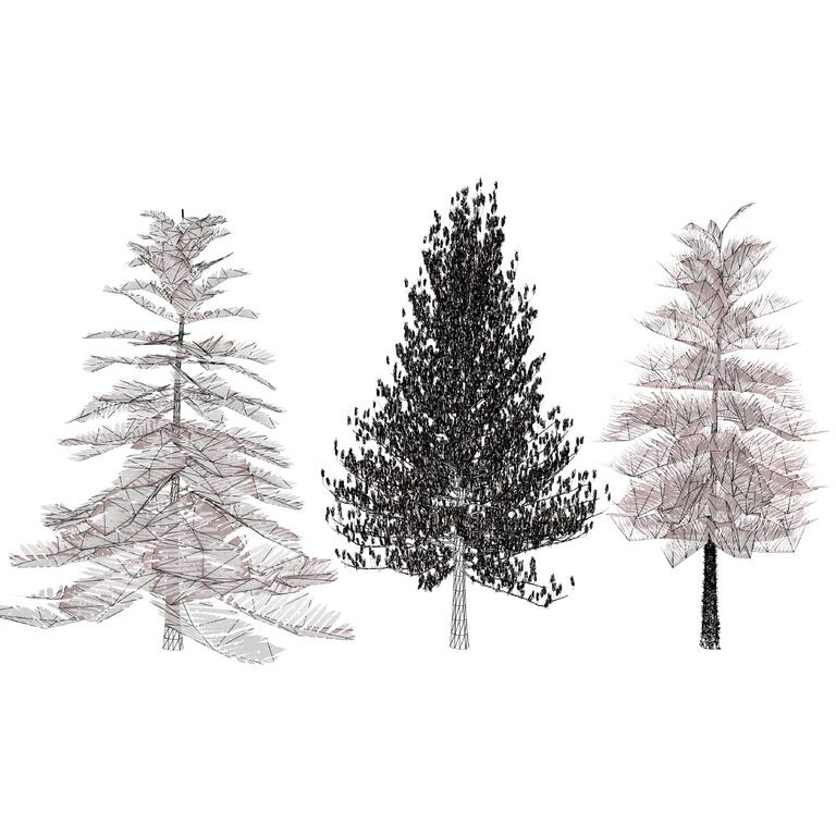 Moroccan Norfolk Island Pine (395092) 3D model - Download 3D model ...