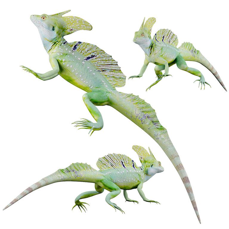Fauna 3D models - Download 3D models | 3d-baza.com