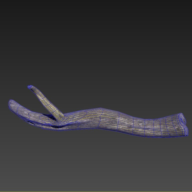 Fauna 3D models - Download 3D models | 3d-baza.com
