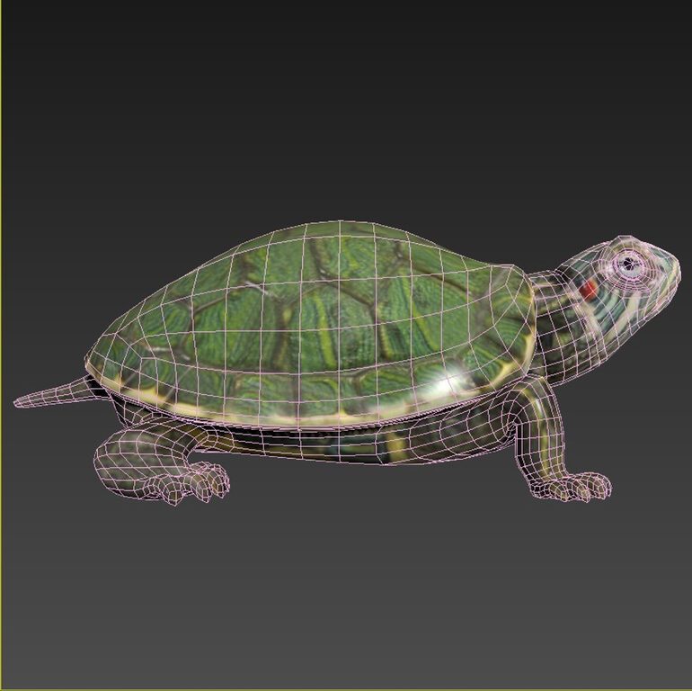 Fauna 3D models - Download 3D models | 3d-baza.com