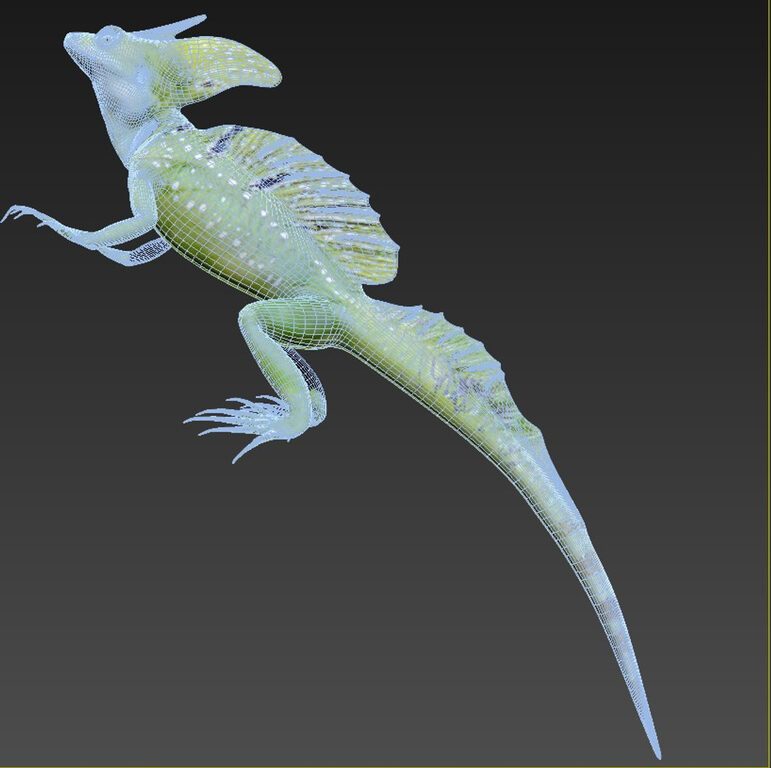 Fauna 3D models - Download 3D models | 3d-baza.com