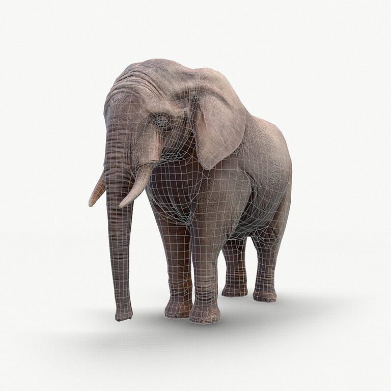 Fauna 3D models - Download 3D models | 3d-baza.com