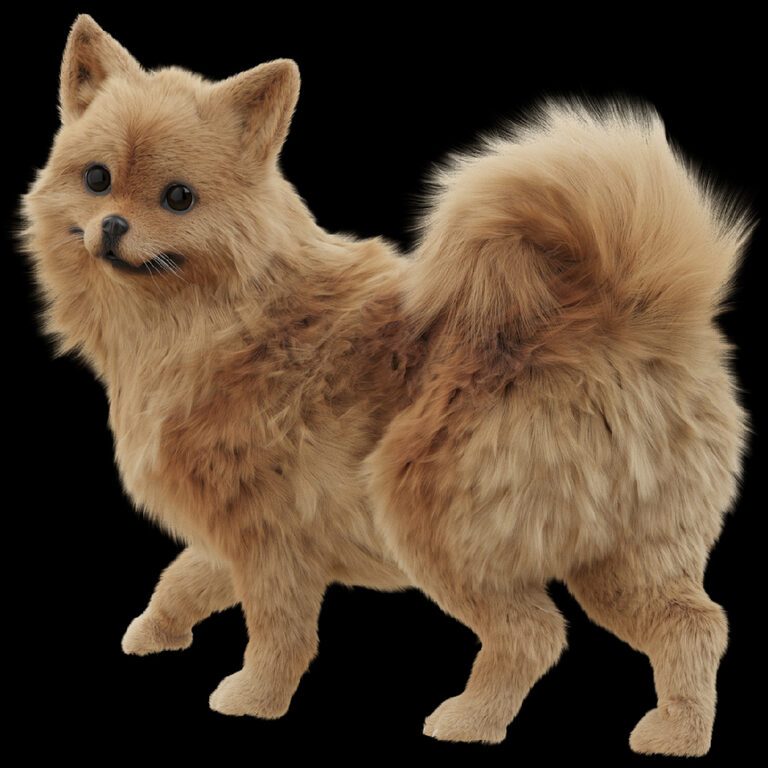 Spitz (395120) 3D model - Download 3D model Spitz (395120) | 395120 ...