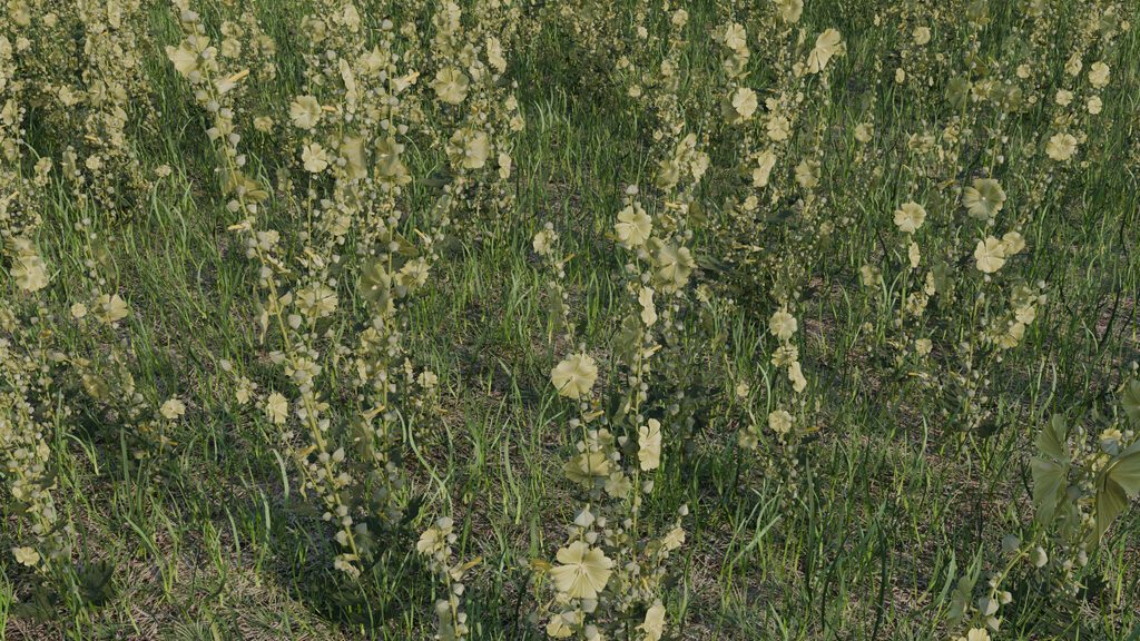 Alcea rugosa (395540) 3D model - Download 3D model Alcea rugosa (395540 ...