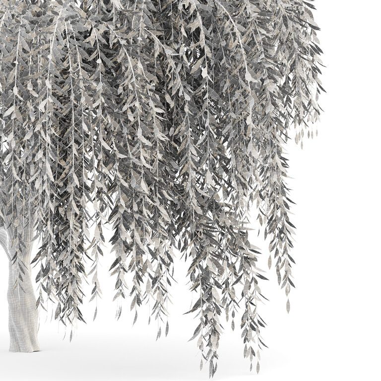 AV Weeping willow and Birch 2trees (395629) 3D model - Download 3D ...
