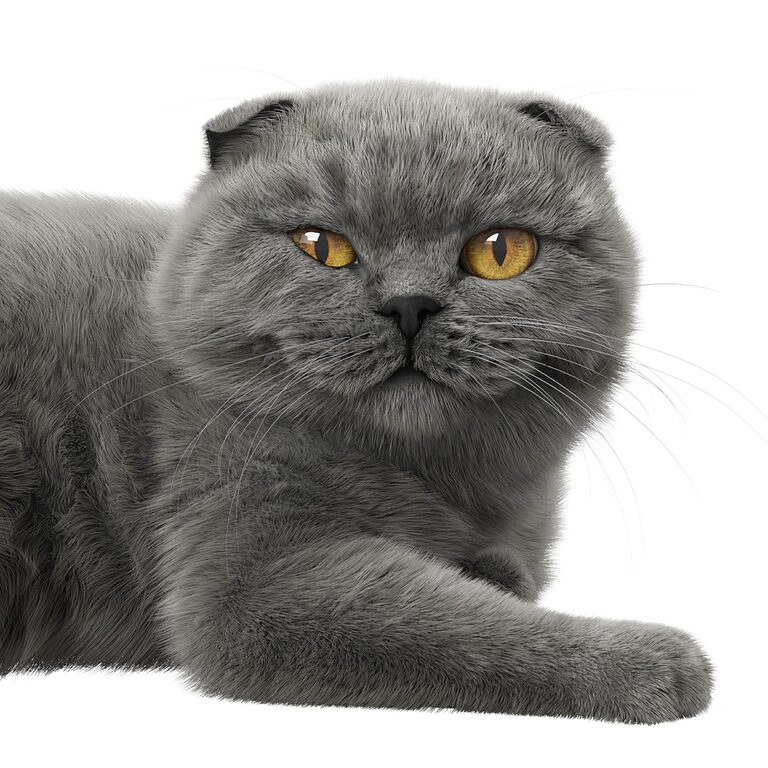 Fauna 3D models - Download 3D models | 3d-baza.com
