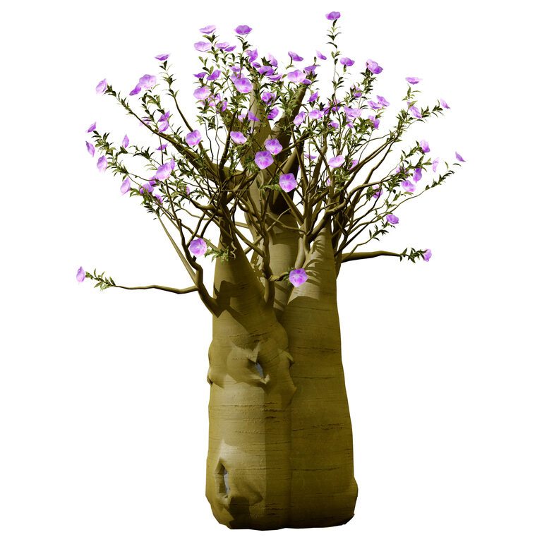 Arabian Kudu Trees 3D models (395687) 3D model - Download 3D model ...