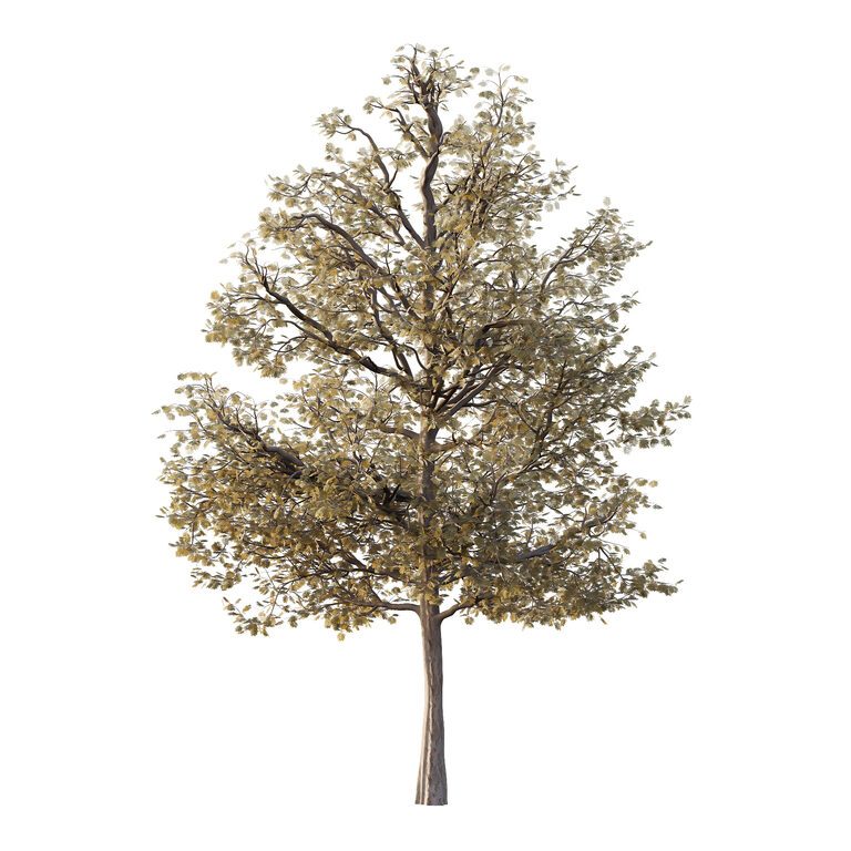 Mountain Ash Tree 16 (396055) 3D model - Download 3D model Mountain Ash ...