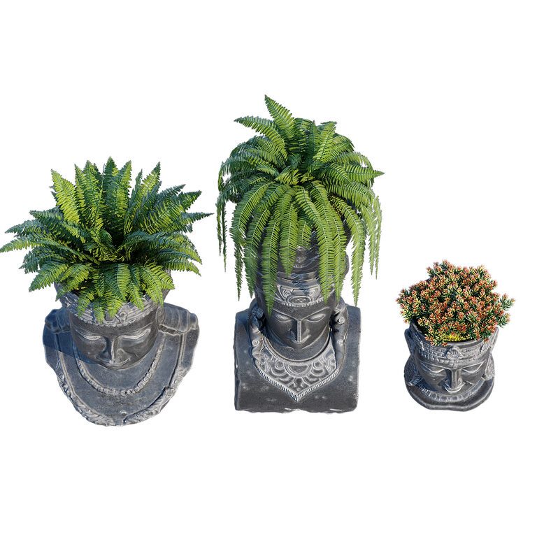 Shiwa head plant (396178) 3D model - Download 3D model Shiwa head plant ...